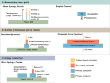 Chapter 16: Trophic Interactions – Introductory Biology 2